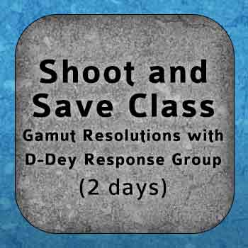 23-24 SEP 2023 - Shoot and Save Class – Gamut Resolutions with D-Dey Response | Gamut ...